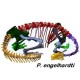 Mounting a skeleton: bones or casts? | dinosaurpalaeo
